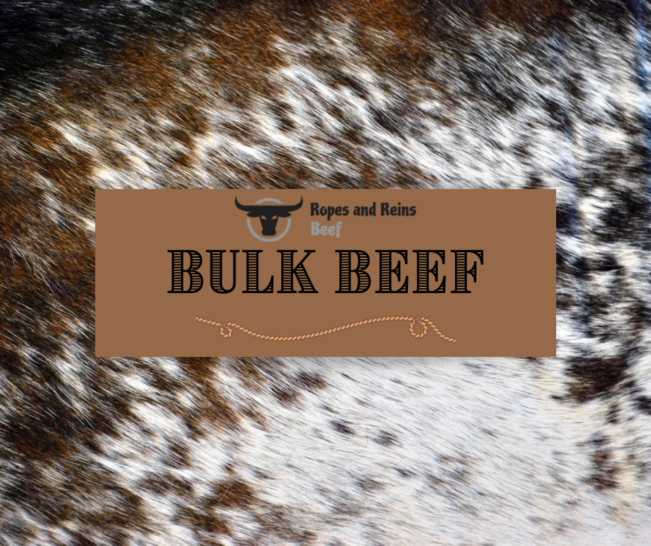 Bulk Beef – Ropes and Reins at Wolf Creek